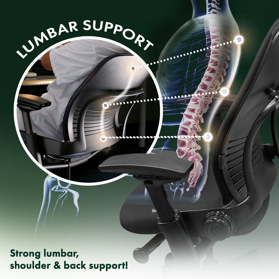 Steelcase Leap V2 Chair | Steelcase Ergonomic Office Chair